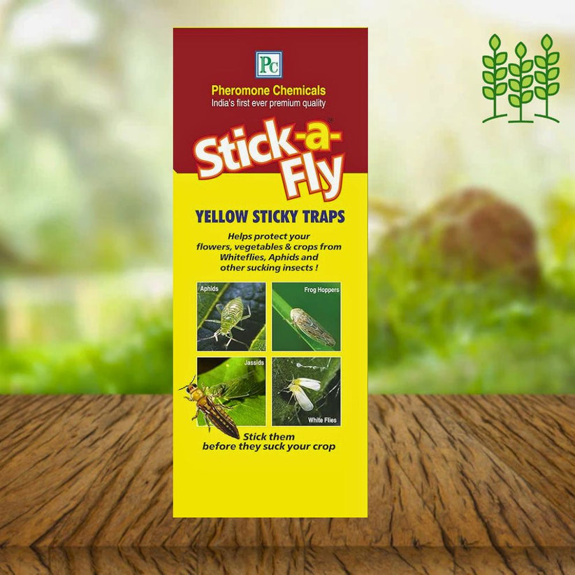 Sticky- A Fly Trap- 5 PCs – HYOFarms India®